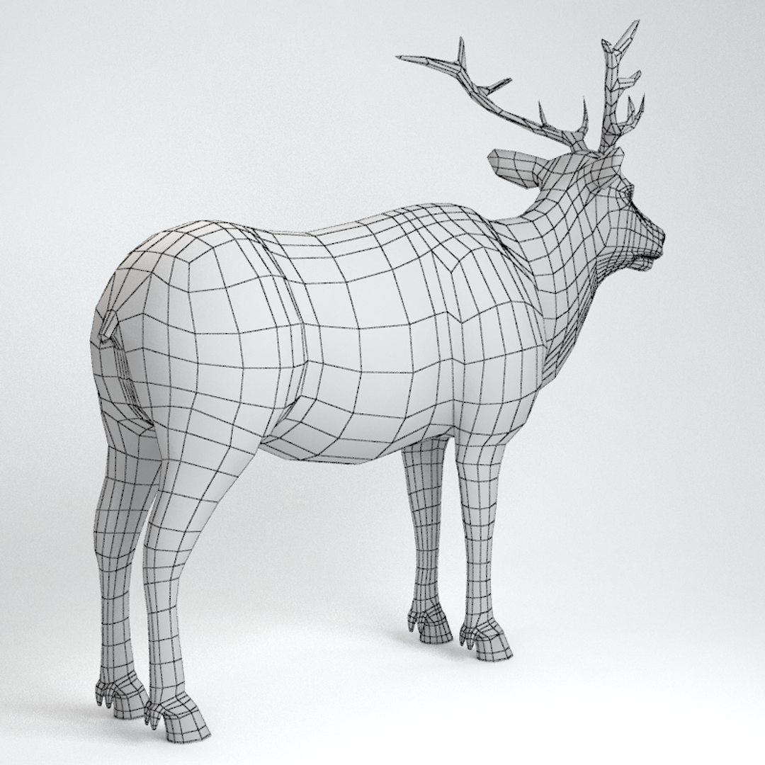 3d Male Elk Model