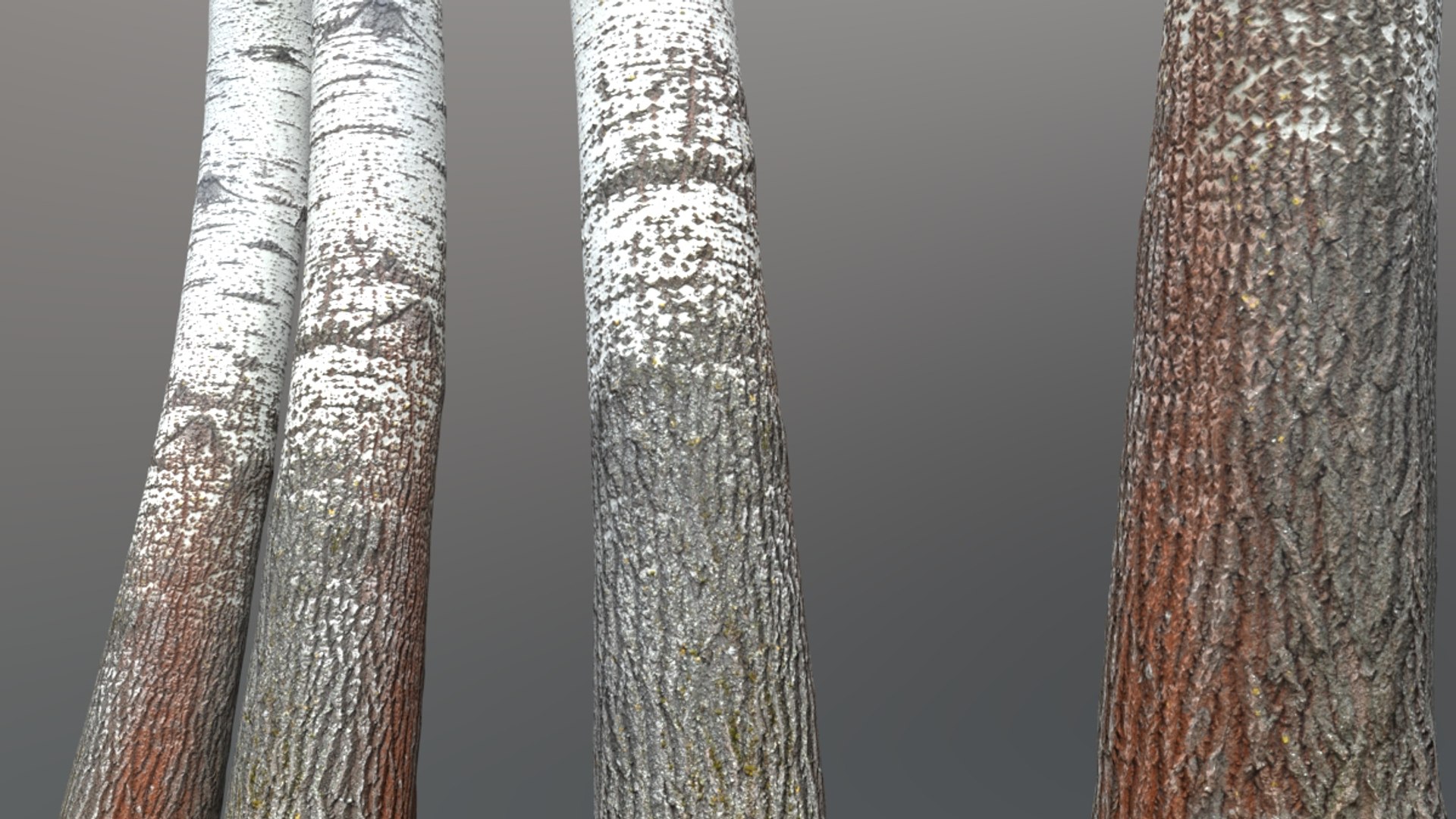 3D Model Aspen Trunk Scan - TurboSquid 2203026