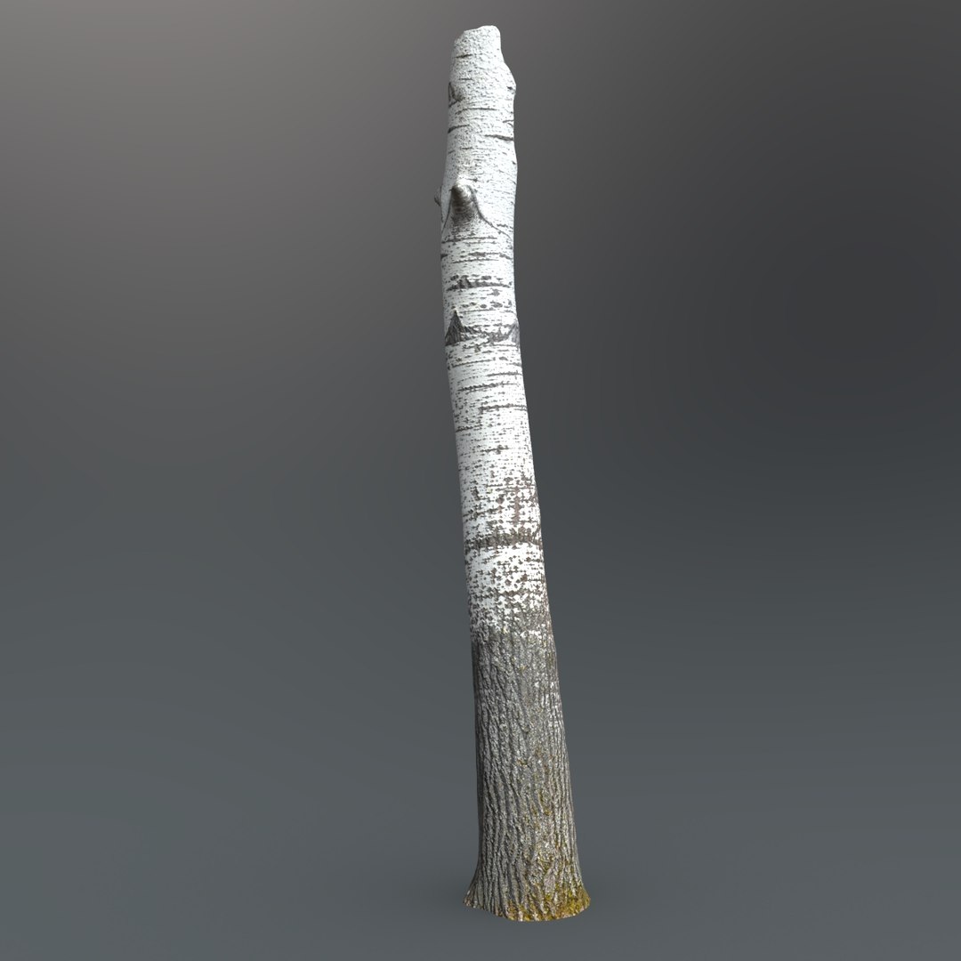 3D Model Aspen Trunk Scan - TurboSquid 2203026