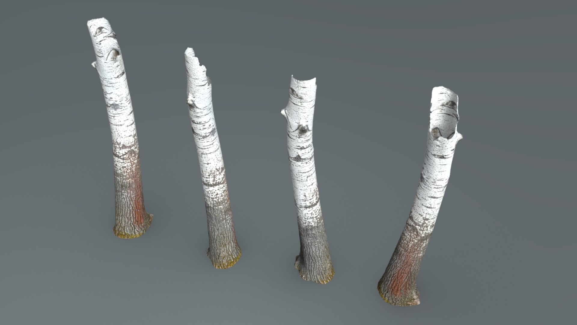 3D Model Aspen Trunk Scan - TurboSquid 2203026