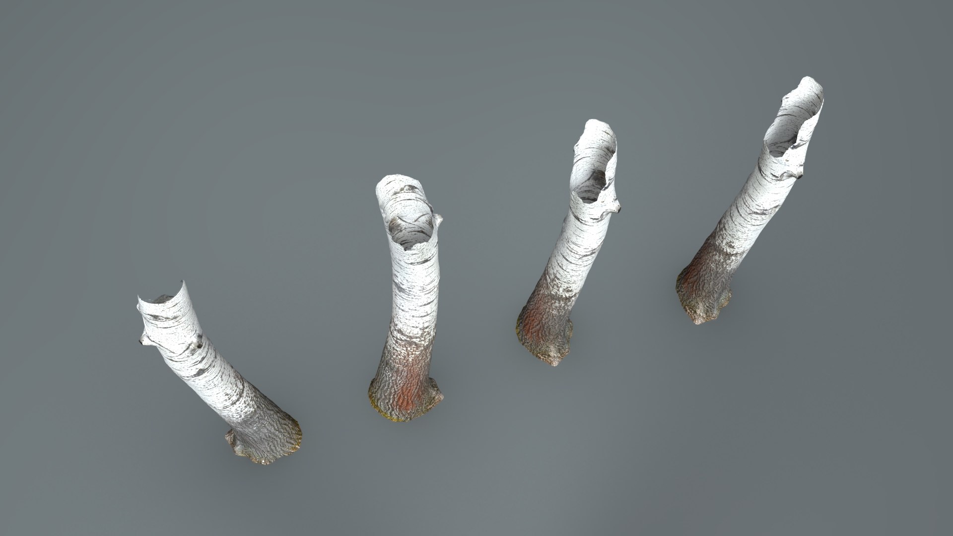 3D Model Aspen Trunk Scan - TurboSquid 2203026