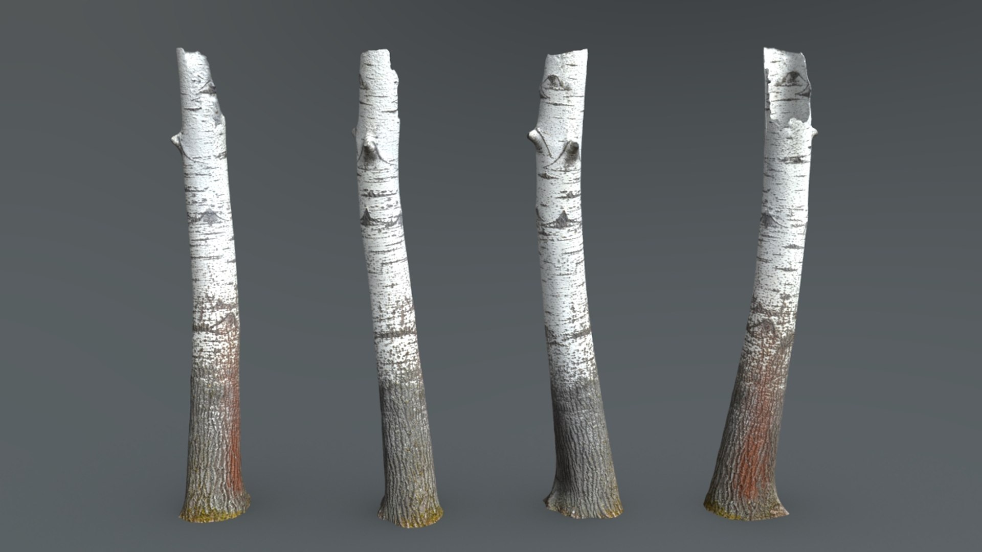 3D Model Aspen Trunk Scan - TurboSquid 2203026