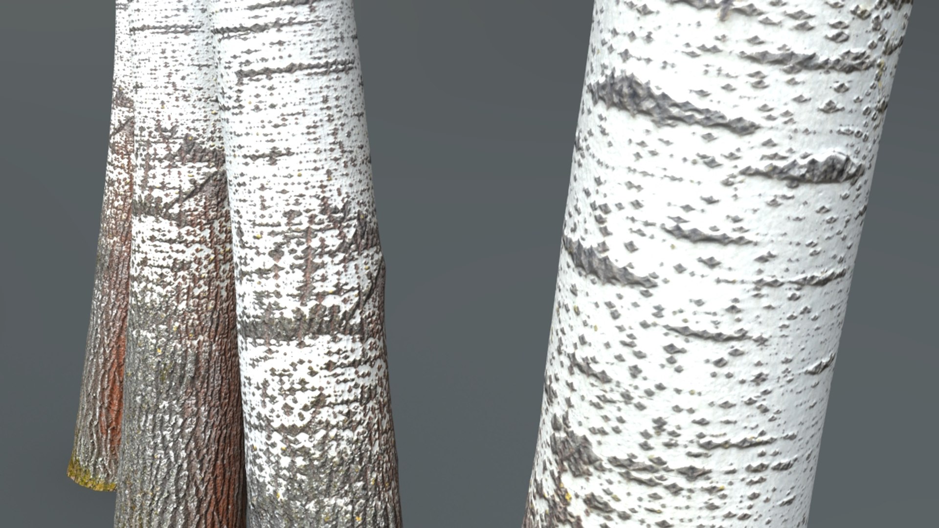 3D Model Aspen Trunk Scan - TurboSquid 2203026