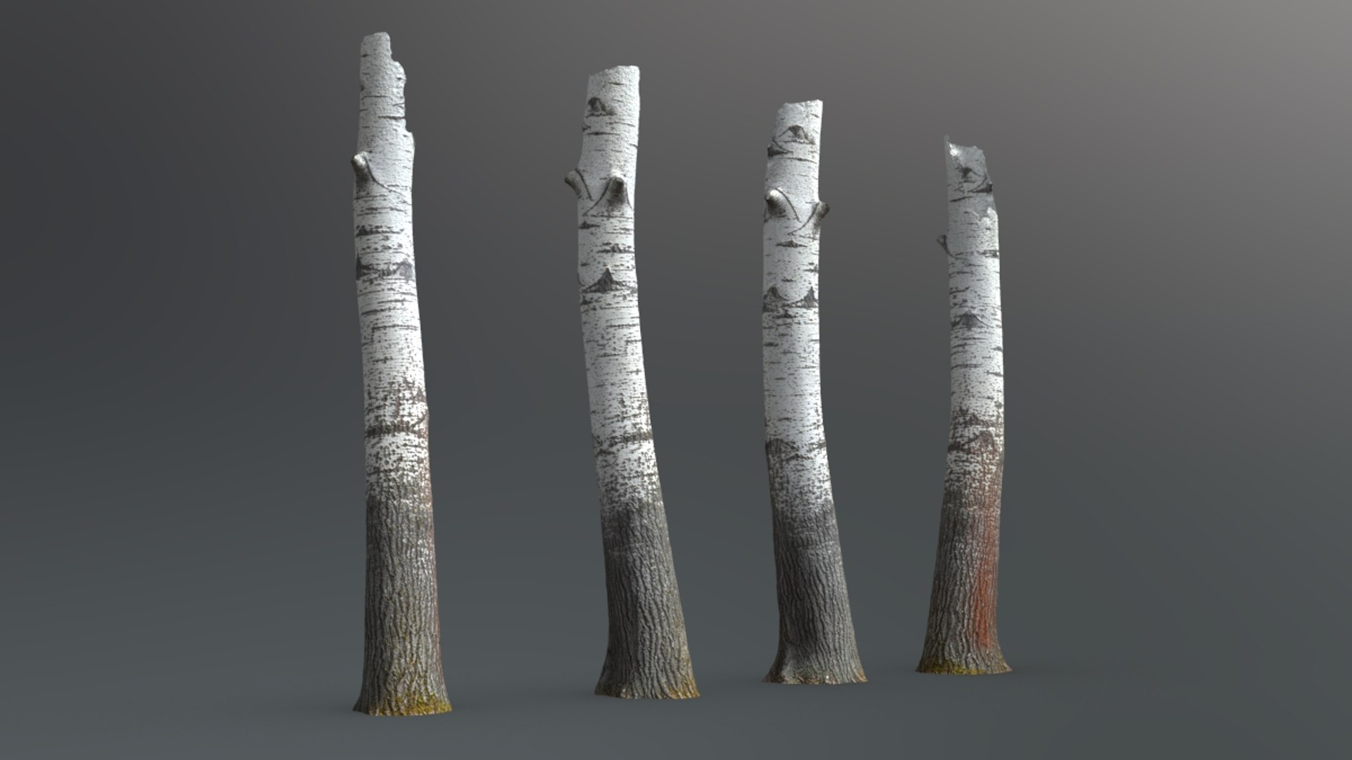 3D Model Aspen Trunk Scan - TurboSquid 2203026
