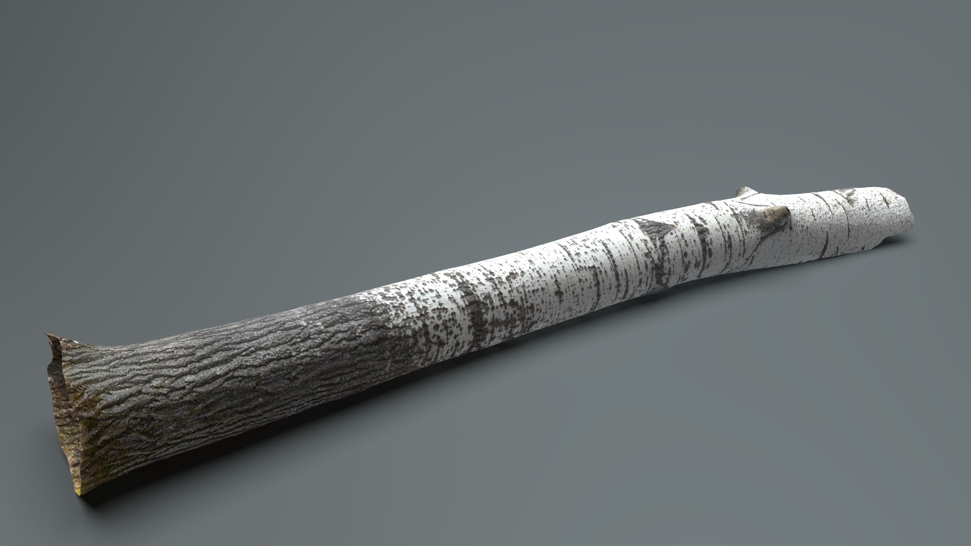 3D Model Aspen Trunk Scan - TurboSquid 2203026