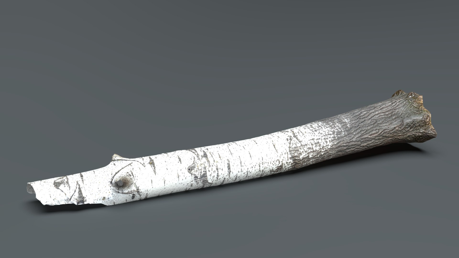3D Model Aspen Trunk Scan - TurboSquid 2203026