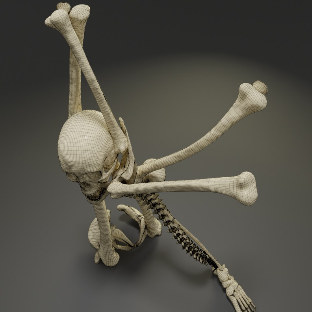 Letter K Bones Skeleton 3D Model - TurboSquid 1547533