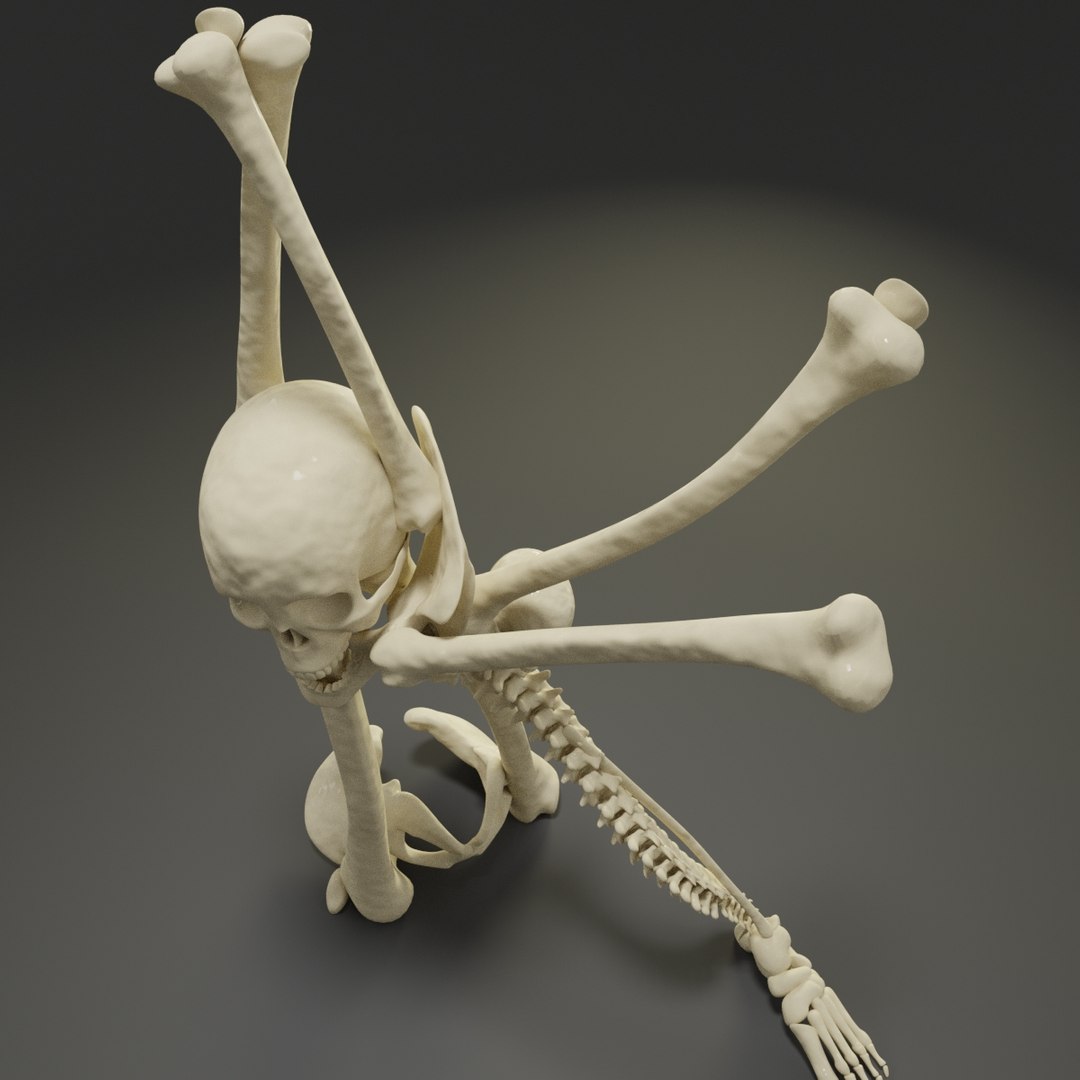 Letter K Bones Skeleton 3D Model - TurboSquid 1547533