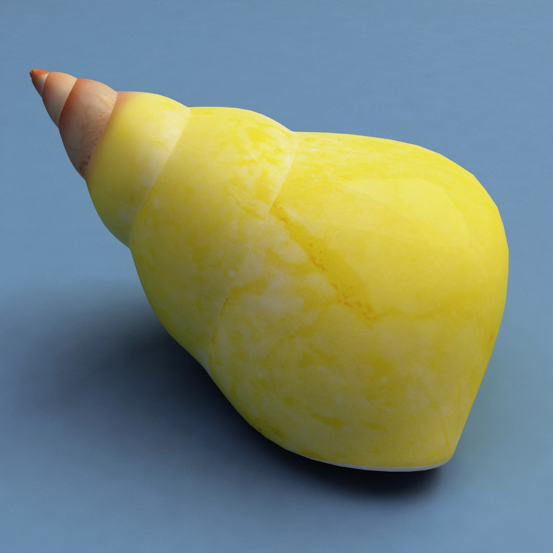 Cat Terrestrial Shell 3d Model