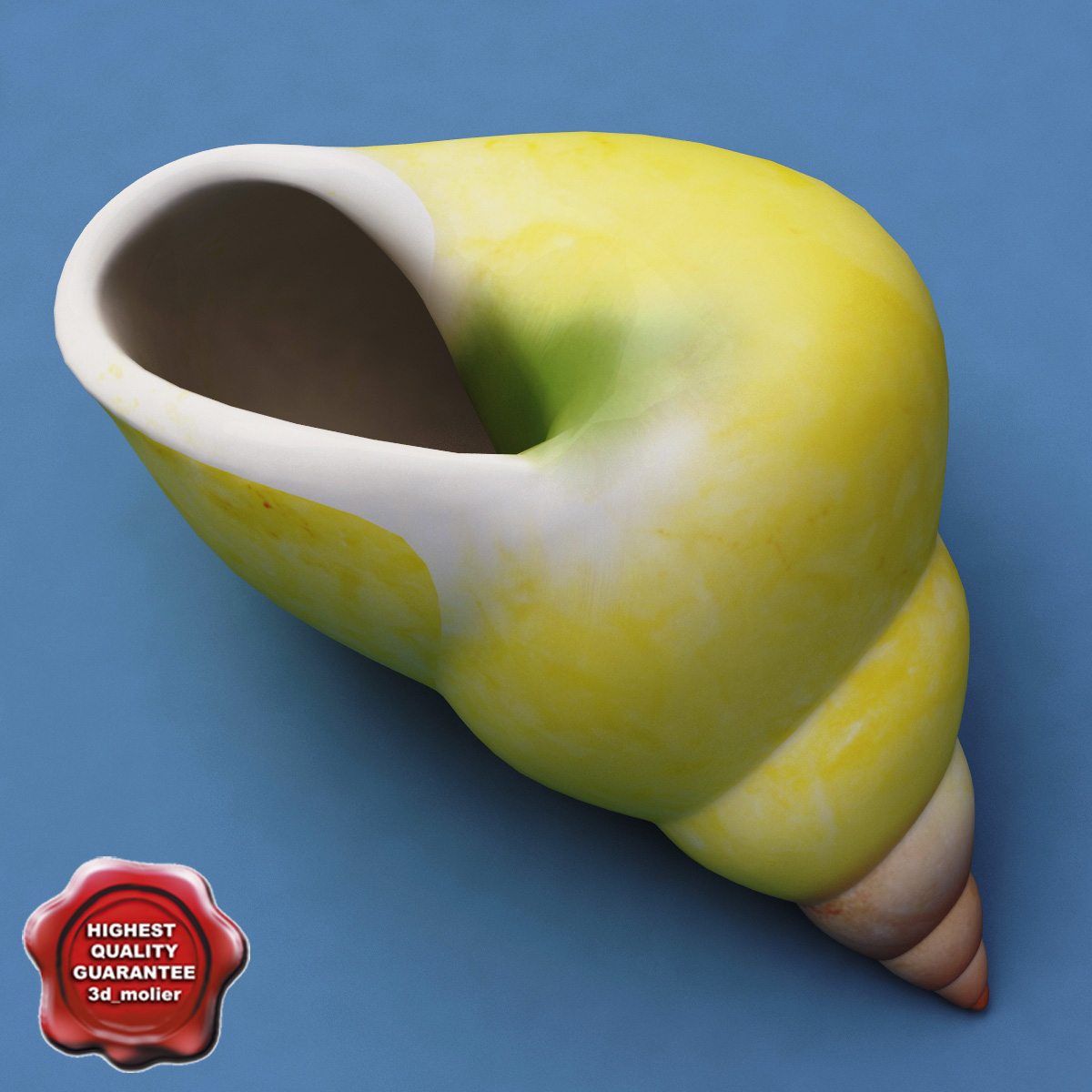 cat terrestrial shell 3d model