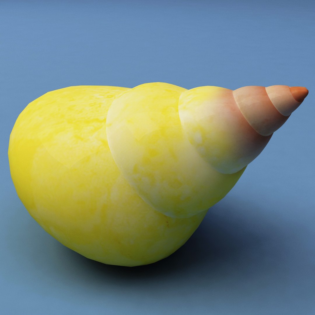 Cat Terrestrial Shell 3d Model