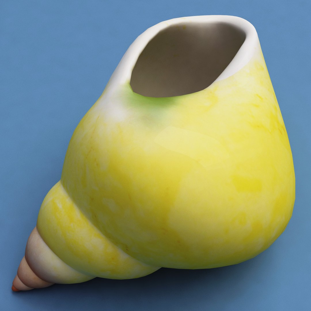 Cat Terrestrial Shell 3d Model