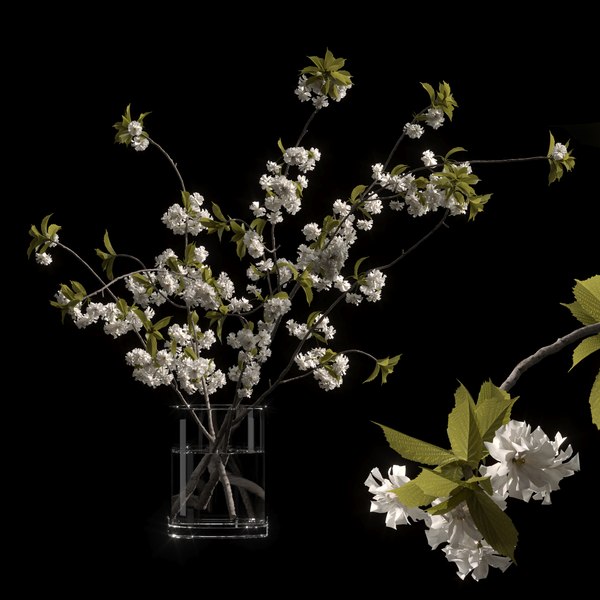 3D Cherry-Blossom Models | TurboSquid