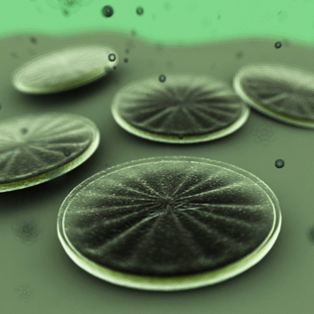 3d 20 Micro Objects Set Model