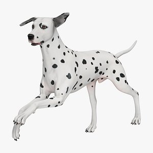 Rigged Dog 3D Models For Download | TurboSquid