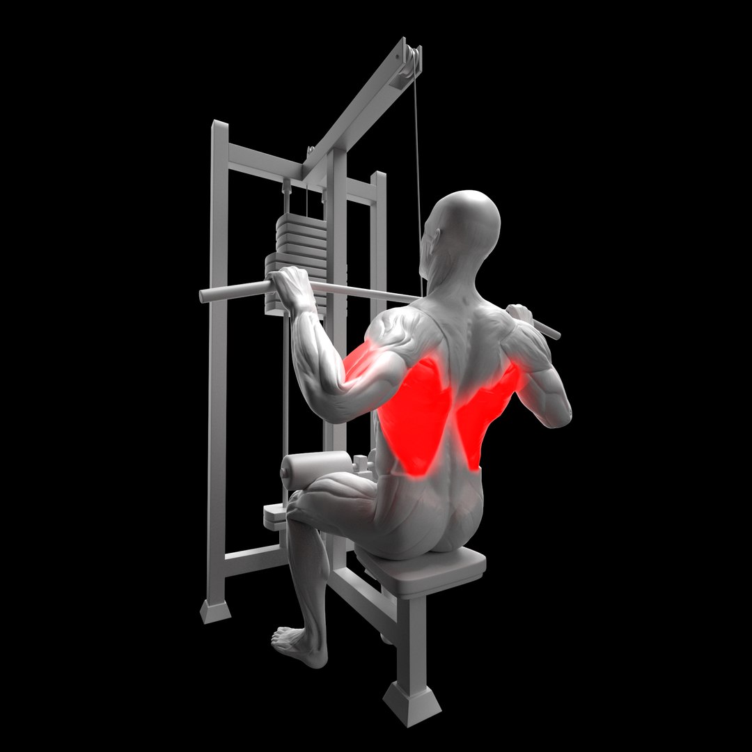 Back Exercises Pack - Pull Ups - Pulldown - Low Row - Barbell Row Model ...
