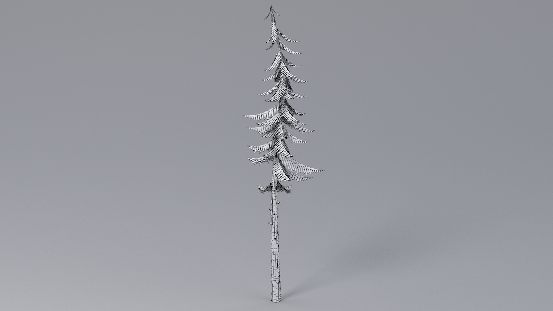 Cartoon Pine 08 Model - TurboSquid 1949317