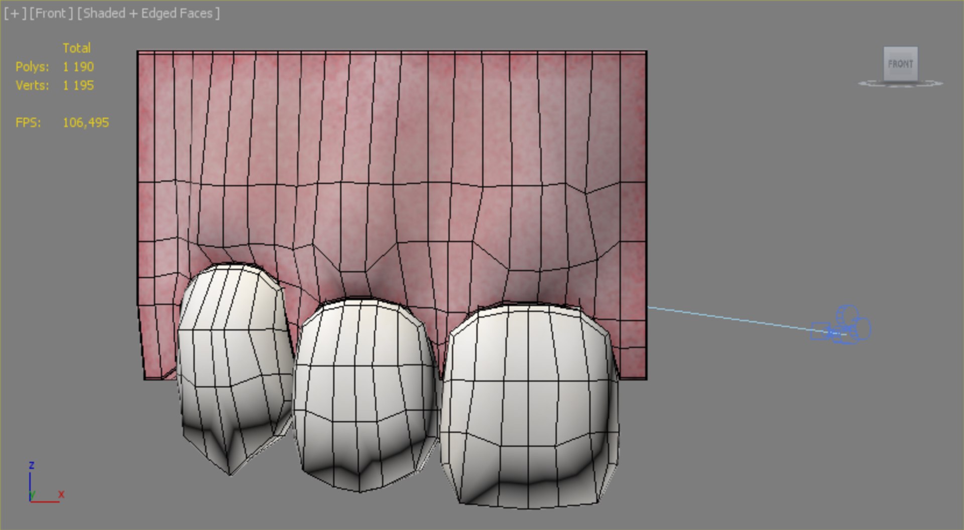 3D jaw central incisor model - TurboSquid 1630683