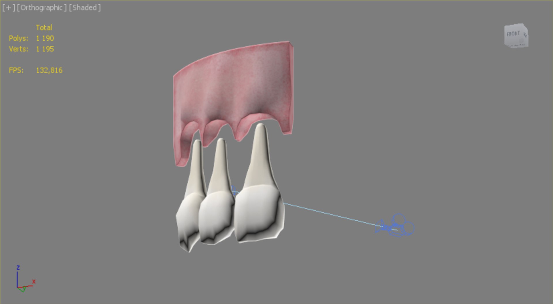 3D jaw central incisor model - TurboSquid 1630683