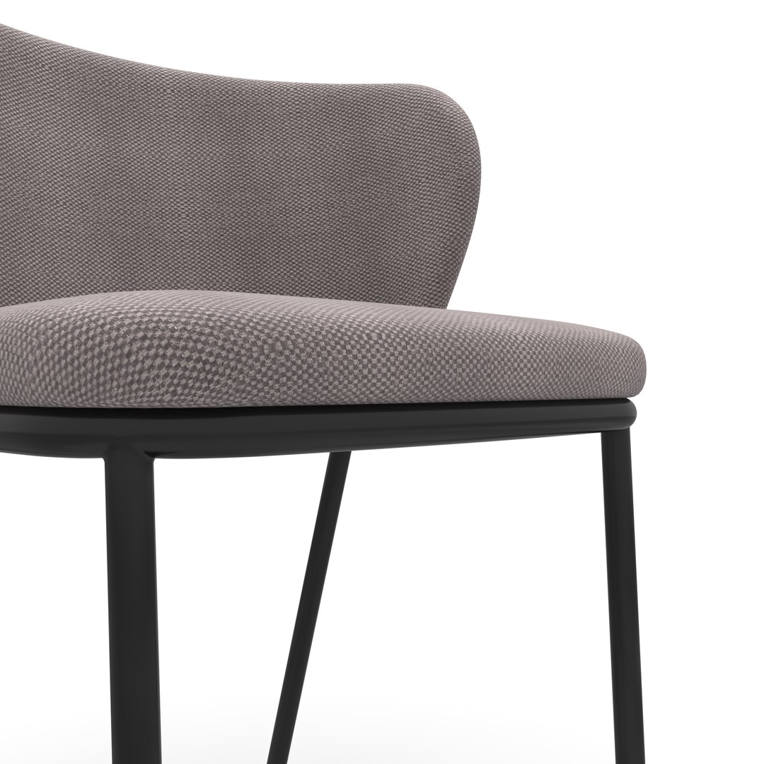 Ciselia Chair 3D Model - TurboSquid 2179347
