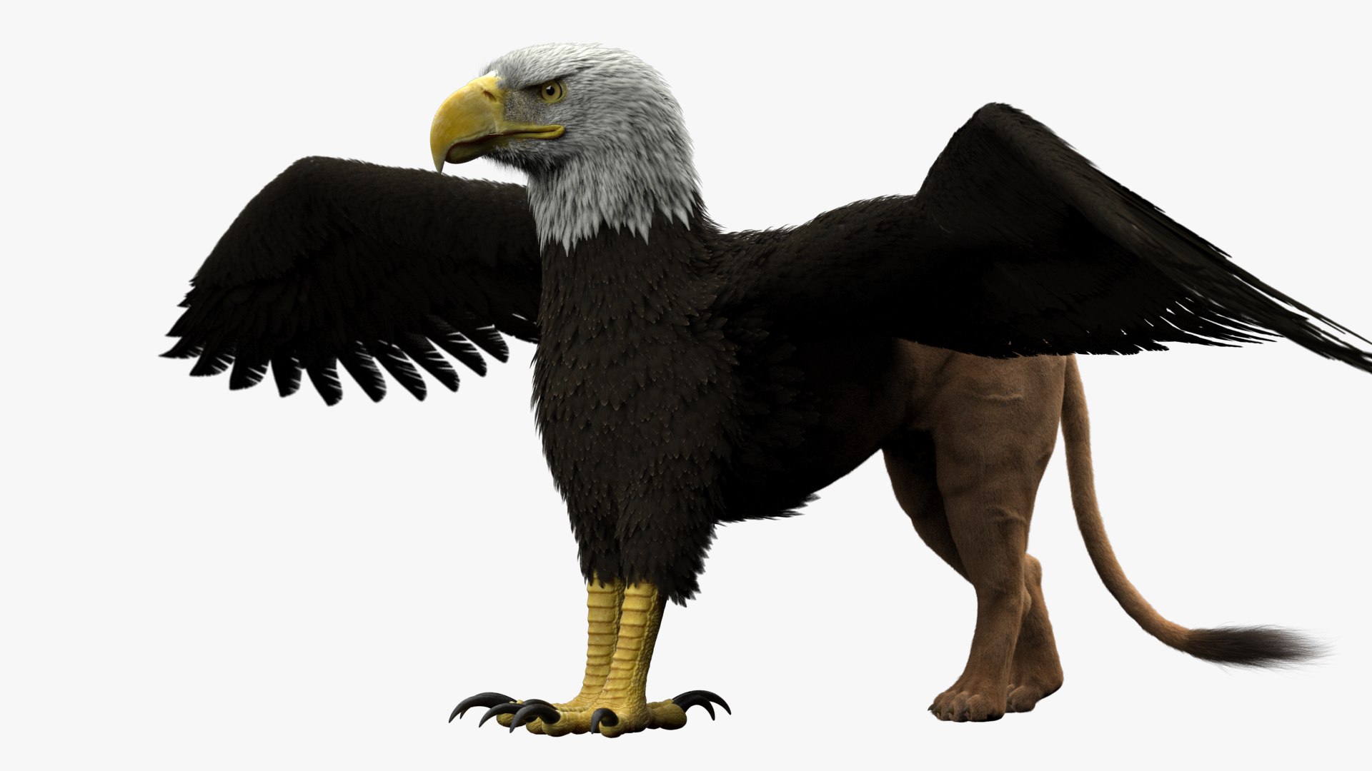 Gryphon Rigged 3D Model - TurboSquid 1473280