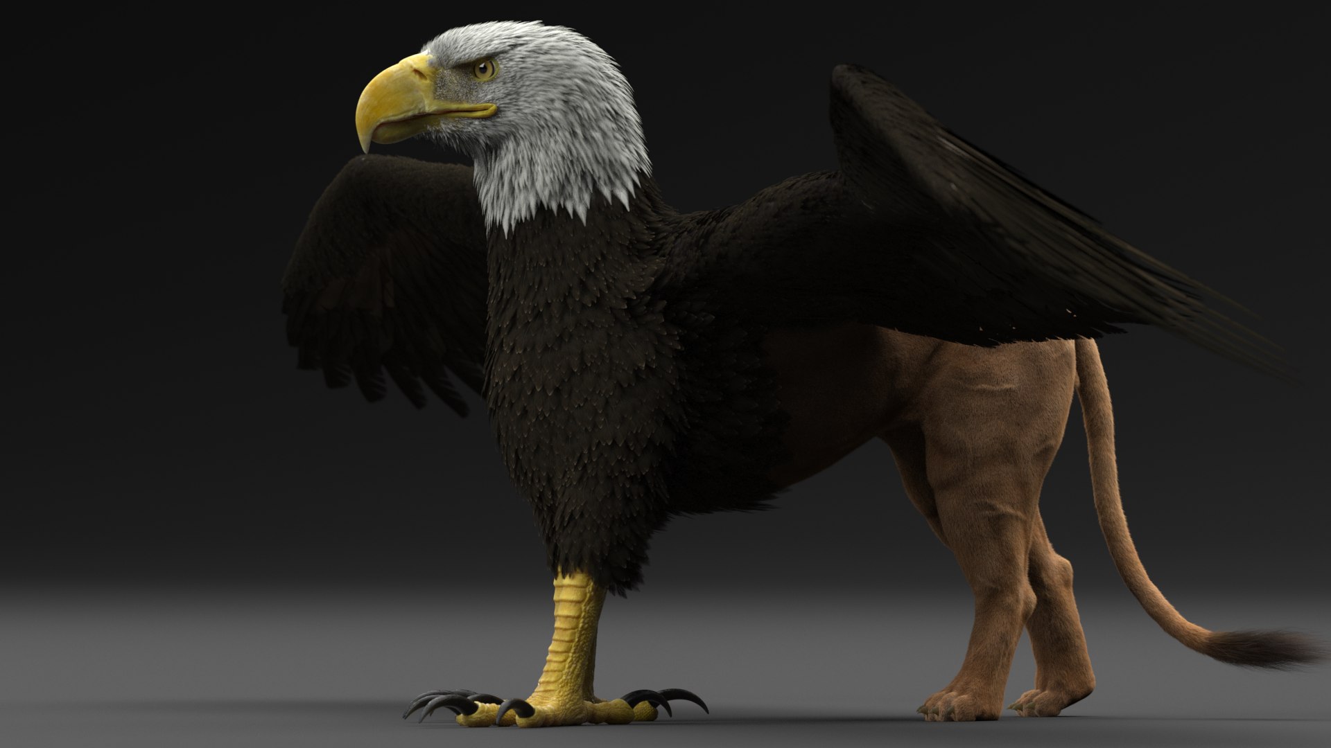 Gryphon Rigged 3D Model - TurboSquid 1473280