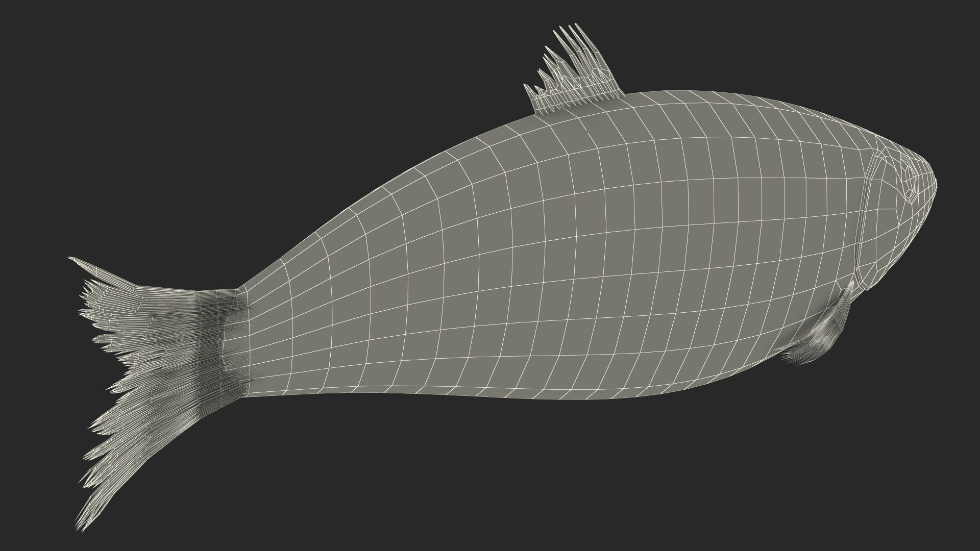 3D Realistic Atlantic Herring - TurboSquid 2208661