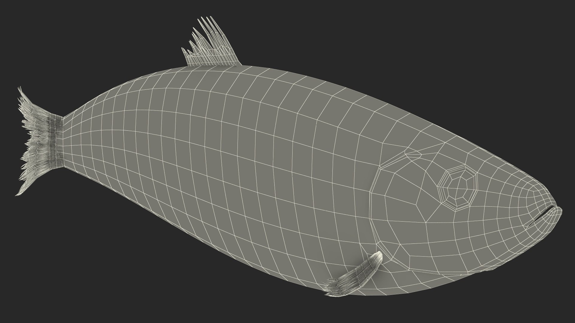 3D Realistic Atlantic Herring - TurboSquid 2208661