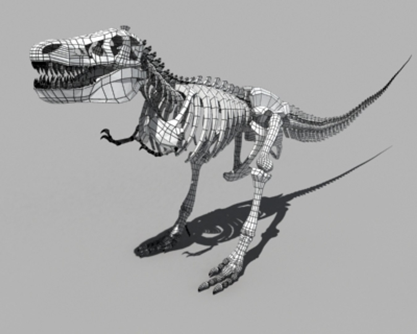 T-rex Skeletons 3d Model