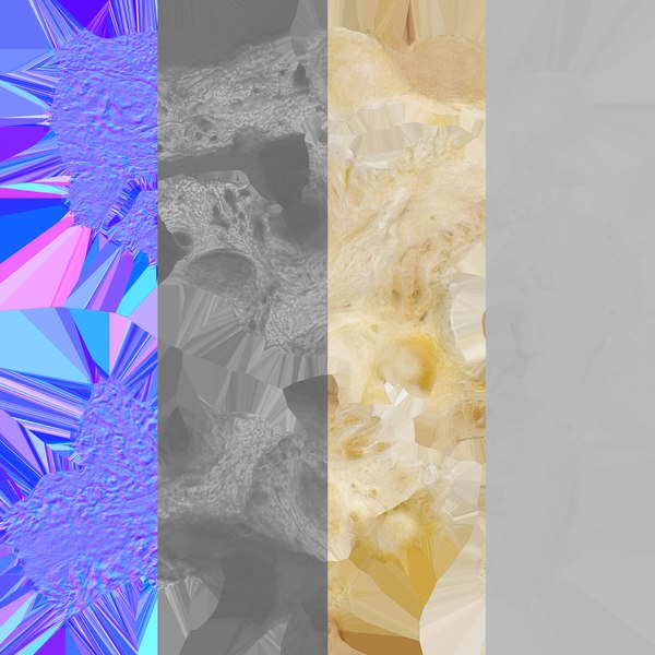 modelo 3d Atlas C1 de las vértebras cervicales masculinas del mono ...