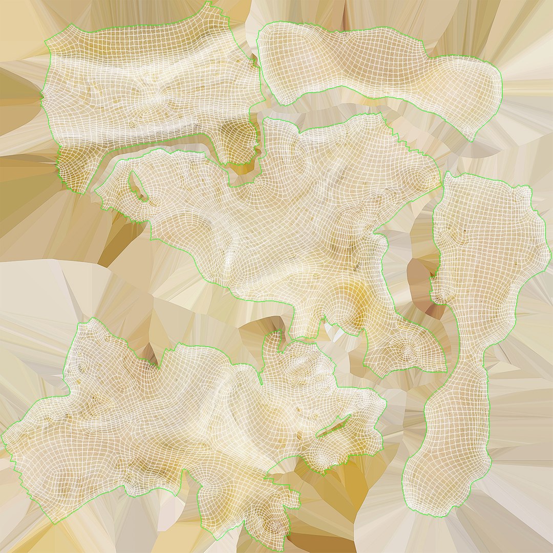 3D Pavian Monkey Male Cervical Vertebrae C1 Atlas Model - TurboSquid ...