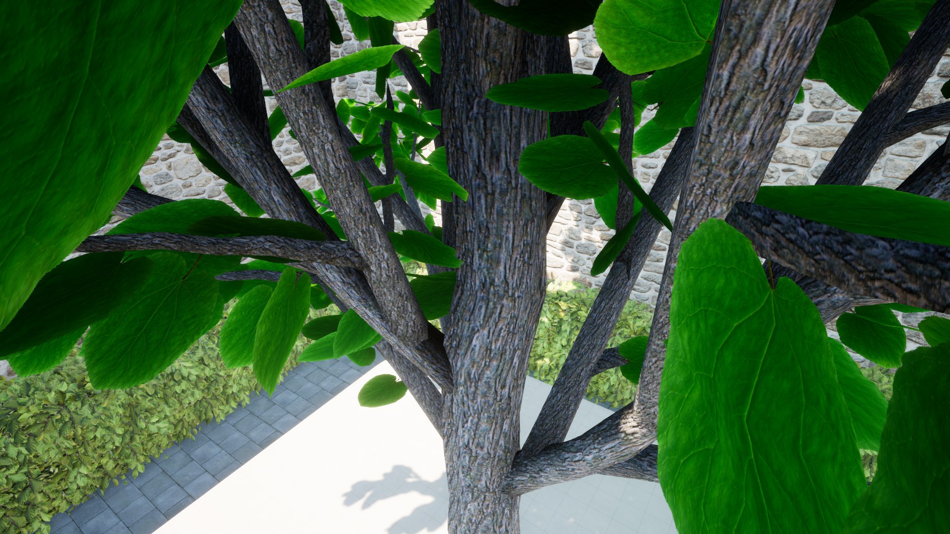 SOLID 3D Model - TurboSquid 2212799