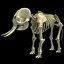 3ds Asian Elephant Skeleton