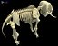 3ds Asian Elephant Skeleton