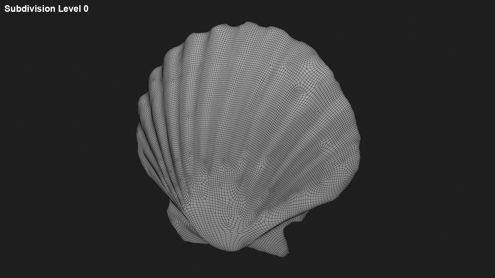 3D Model Clam Shell 04 - TurboSquid 2266430