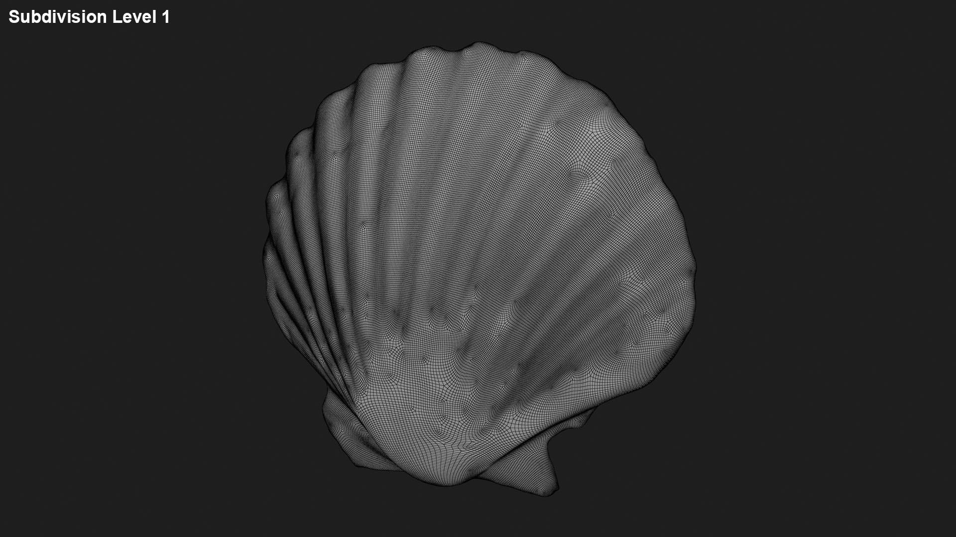 3D Model Clam Shell 04 - TurboSquid 2266430