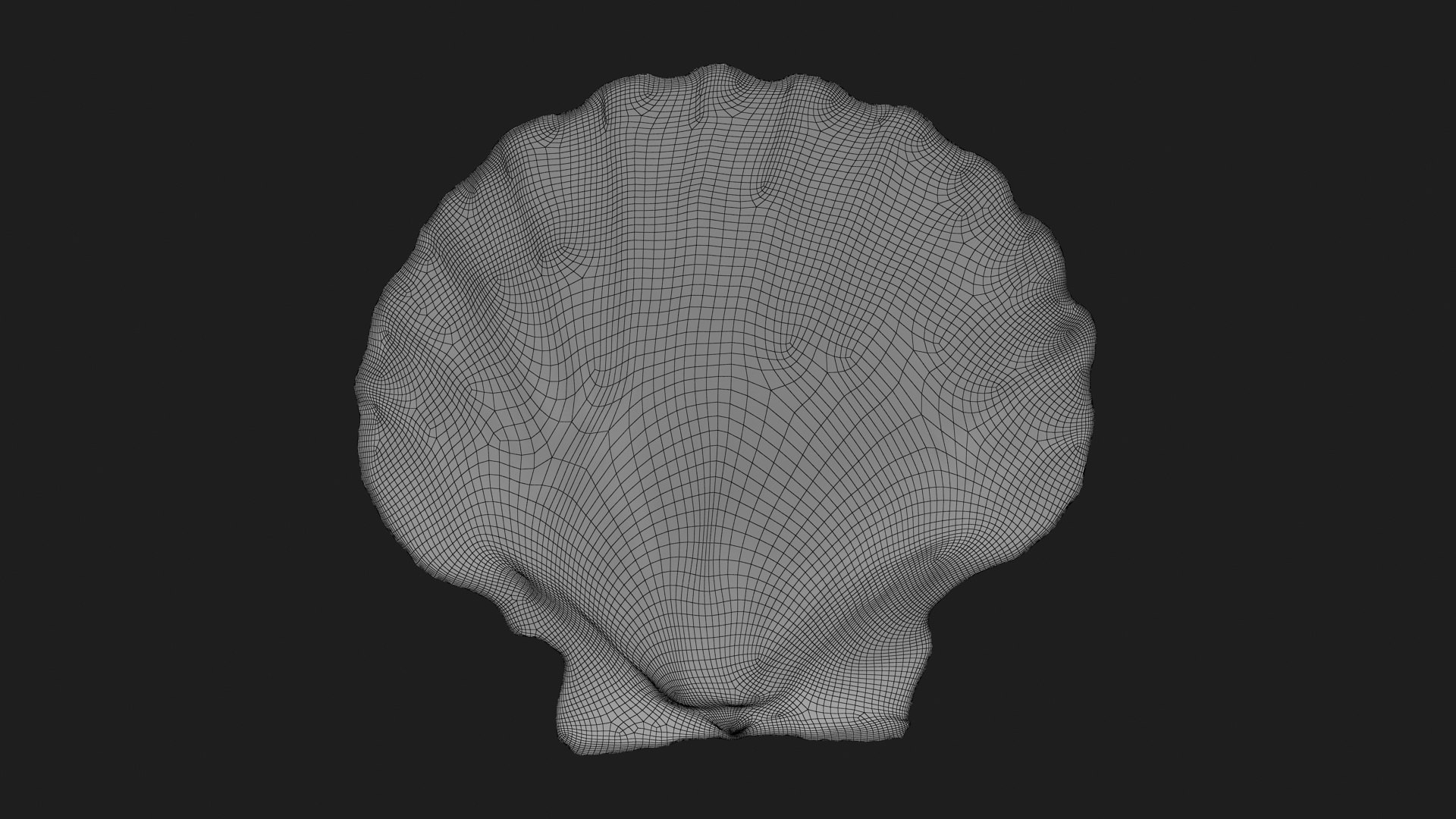 3D Model Clam Shell 04 - TurboSquid 2266430