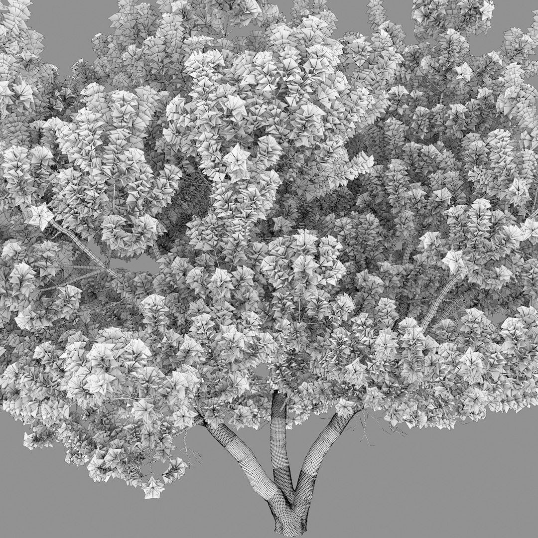 Tree pine pinus 3D model - TurboSquid 1673402