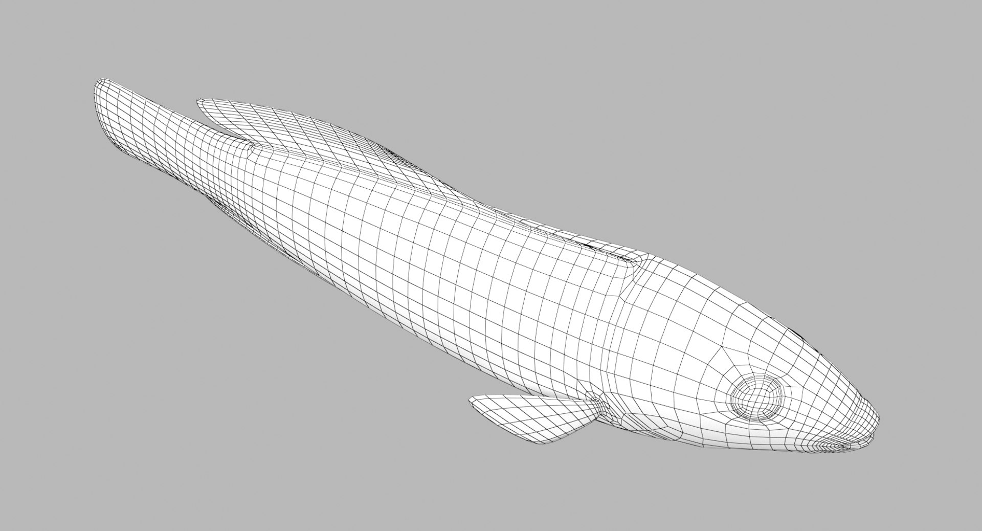 Yellowhead Wrasse 3D - TurboSquid 1298547