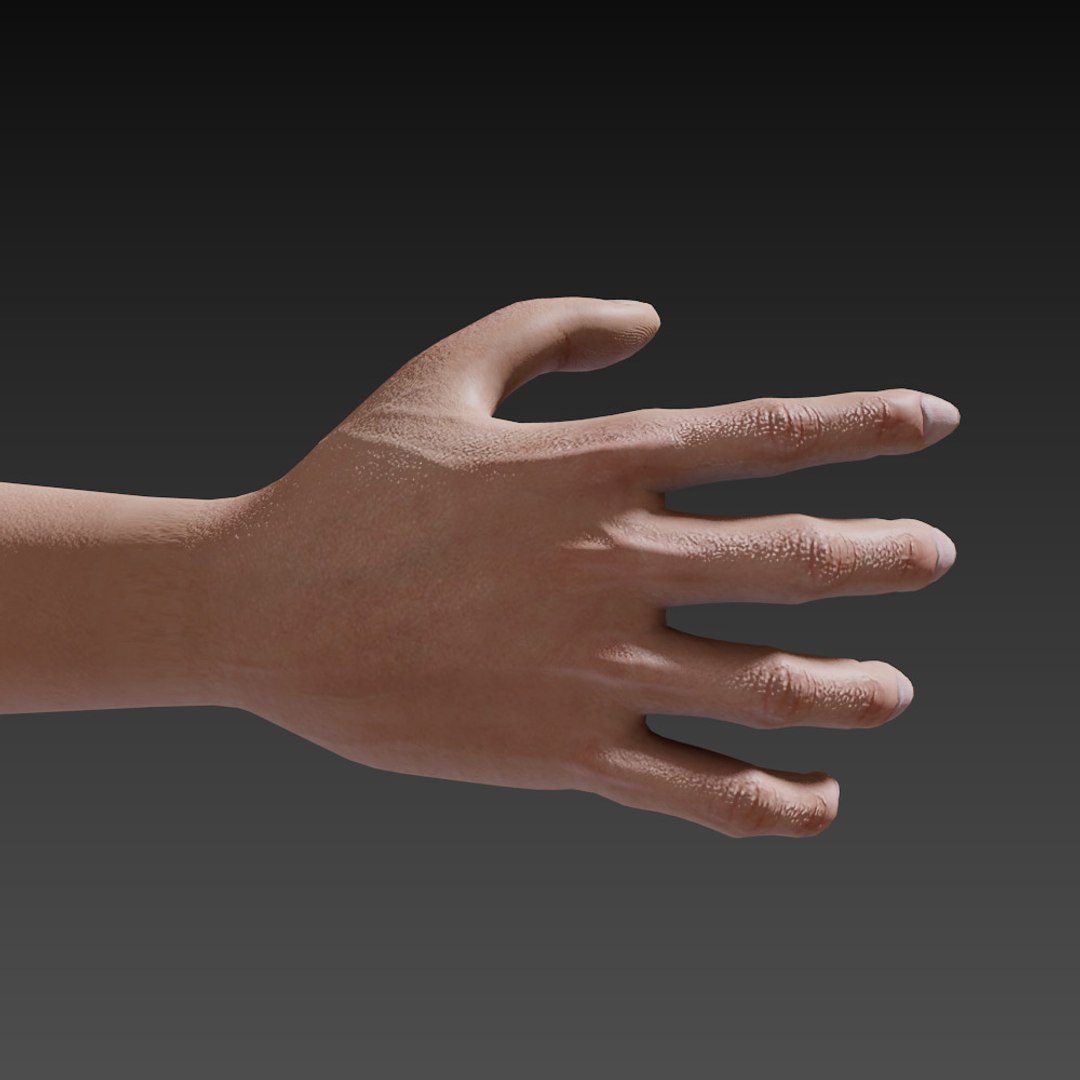 3D Female Arm - TurboSquid 1300564