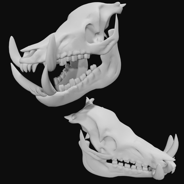 Alpaca Skull