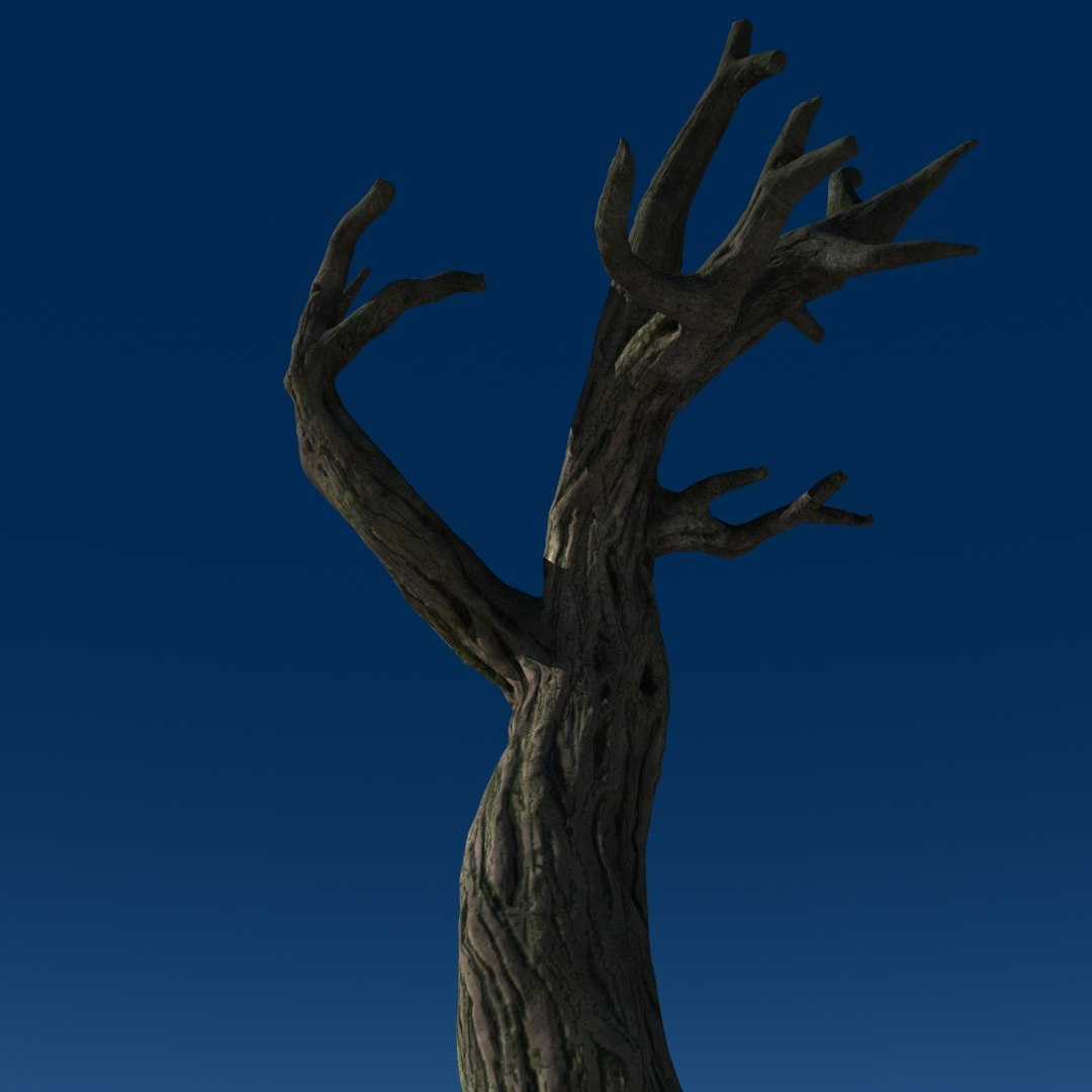 Spooky Tree 3d Model