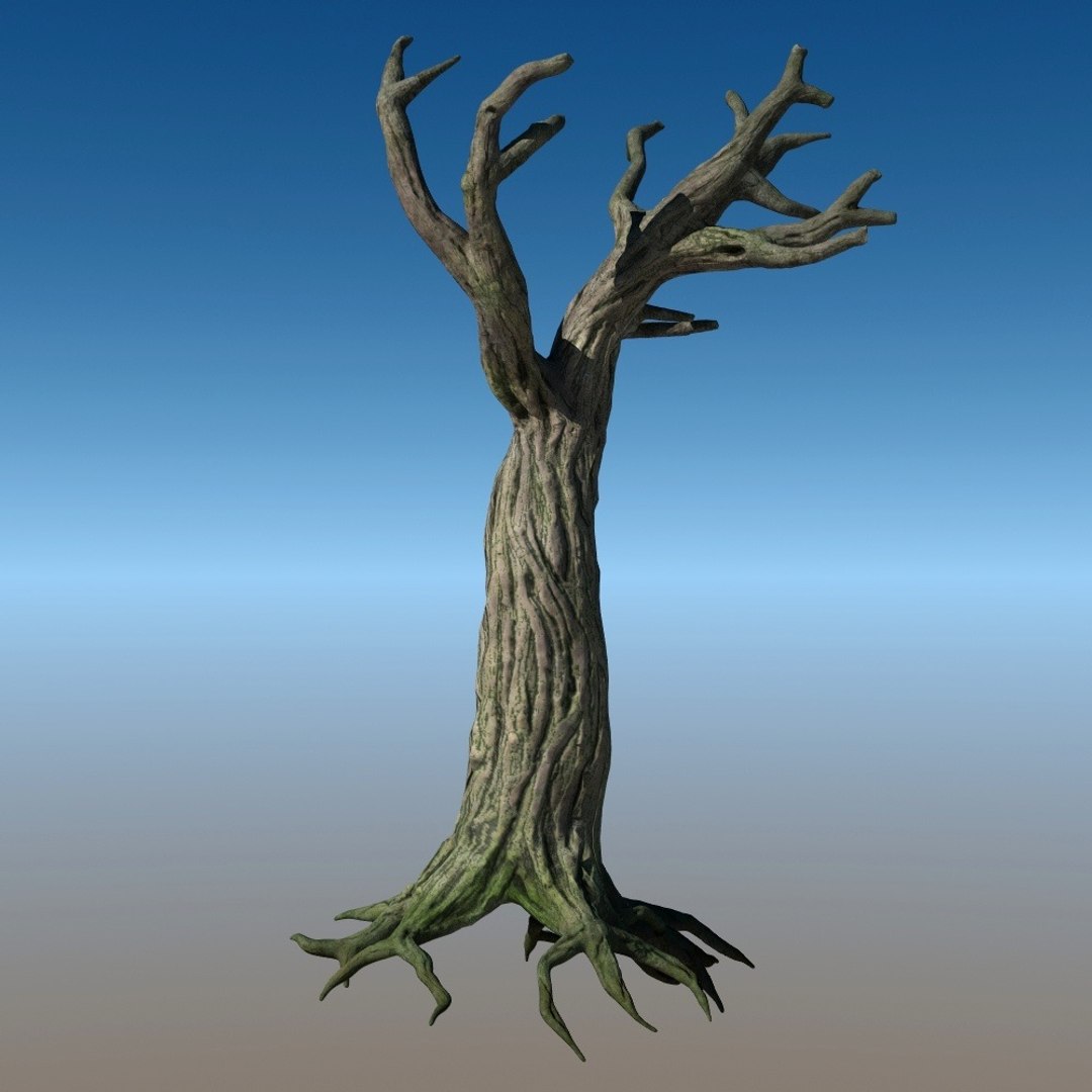 Spooky Tree 3d Model