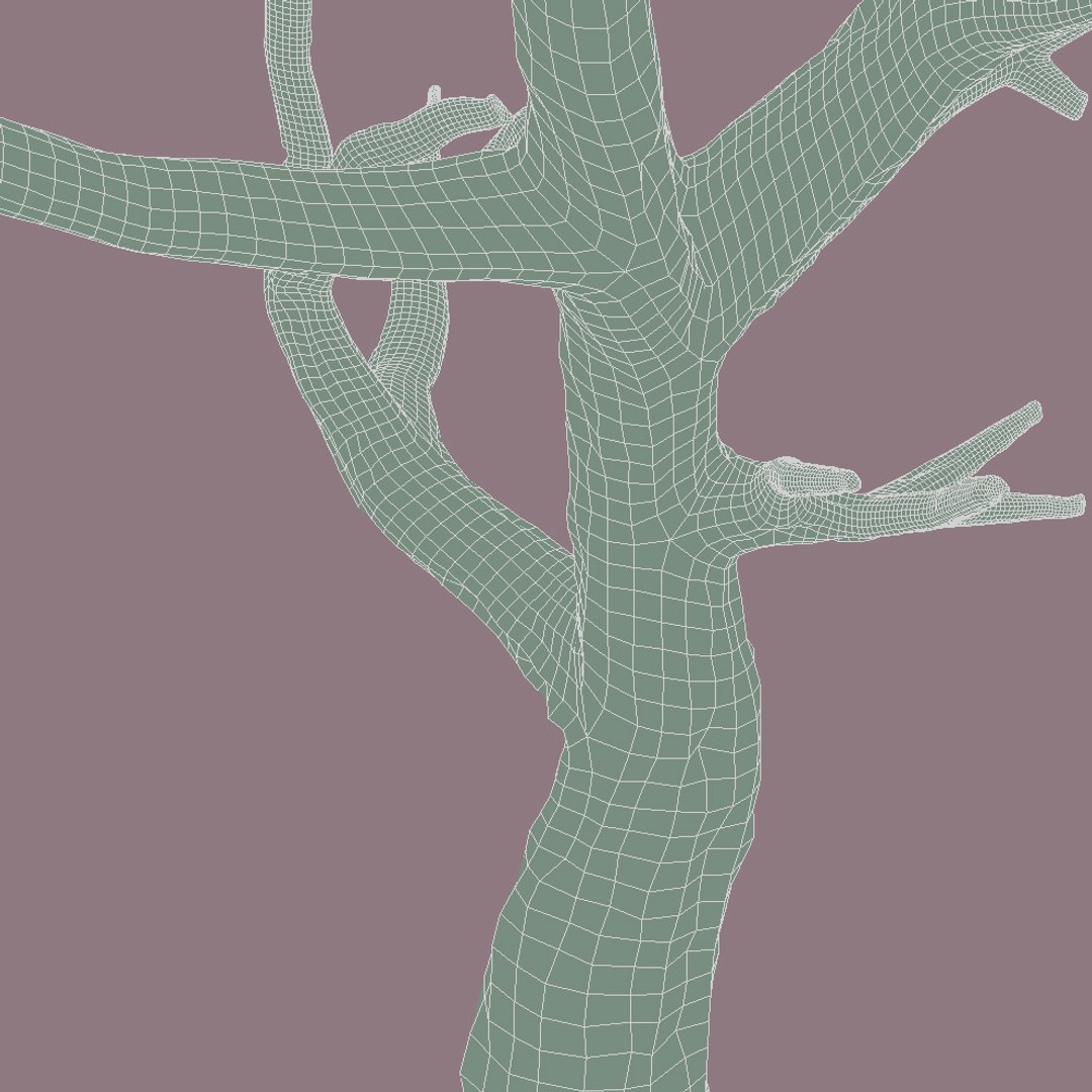 Spooky Tree 3d Model