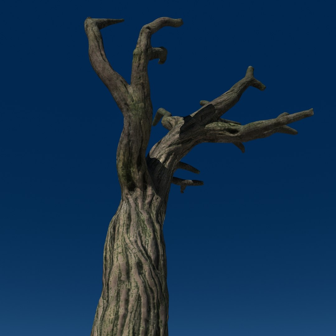 Spooky Tree 3d Model