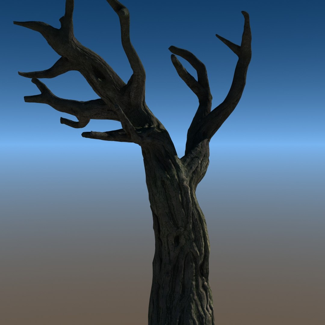 Spooky Tree 3d Model