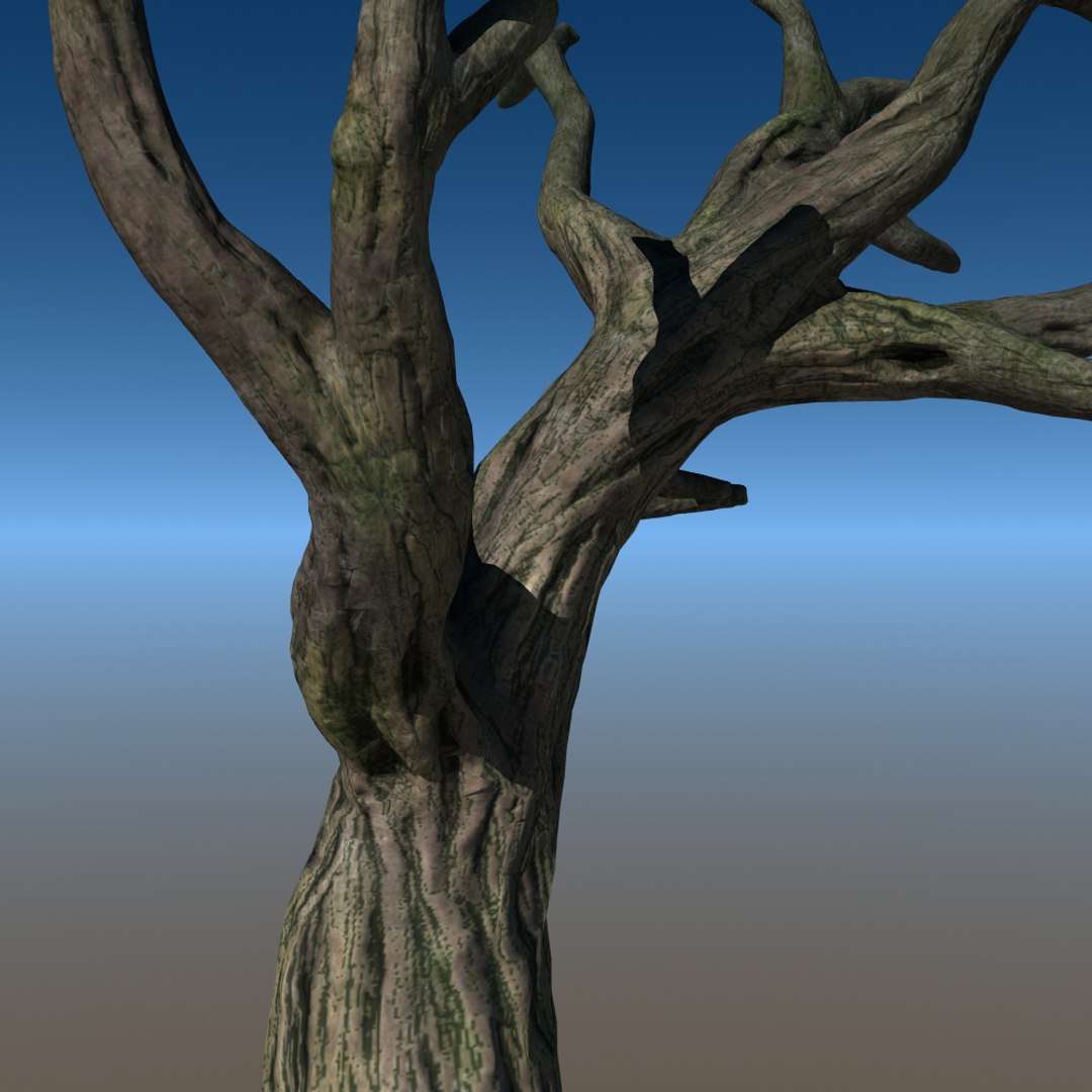 Spooky Tree 3d Model