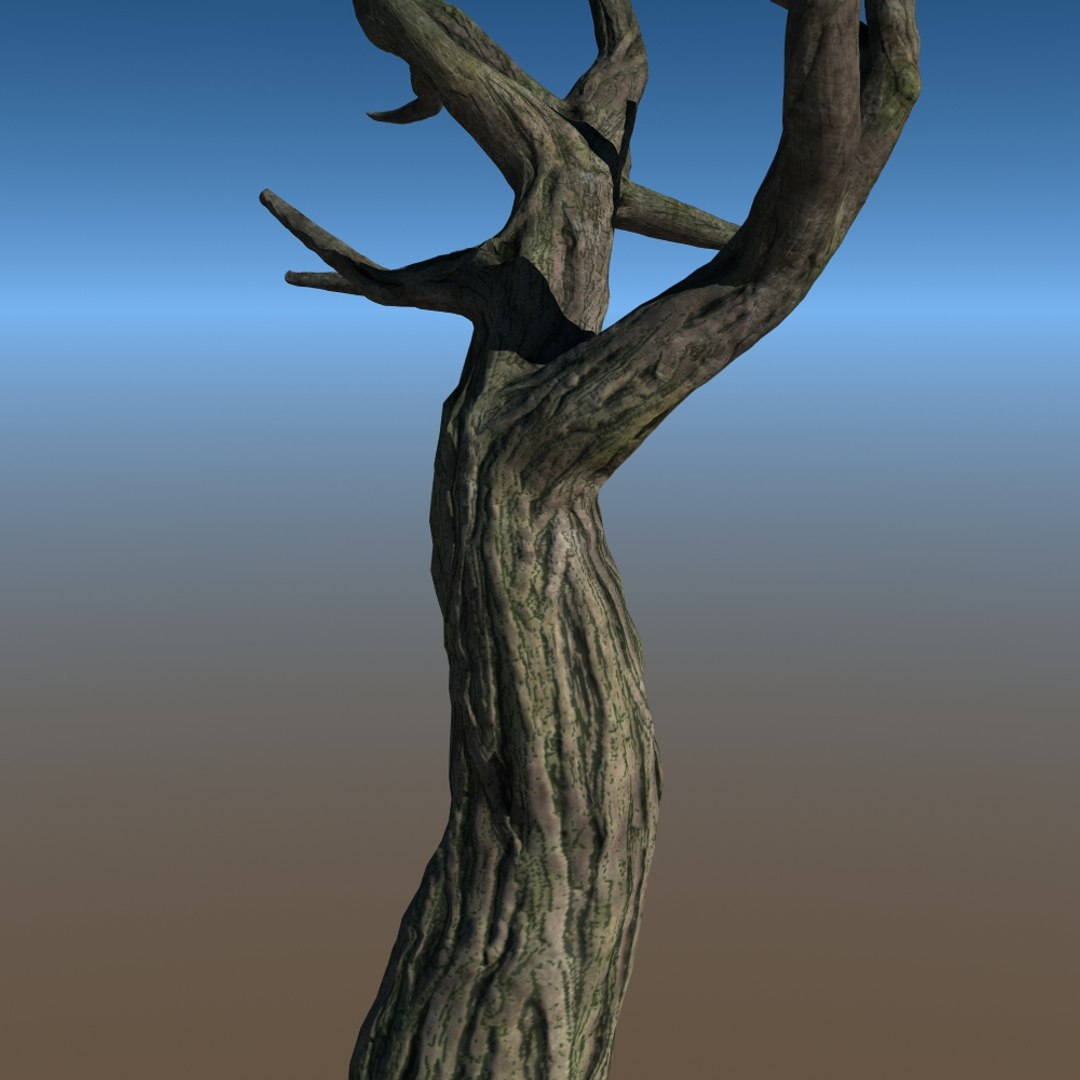 Spooky Tree 3d Model