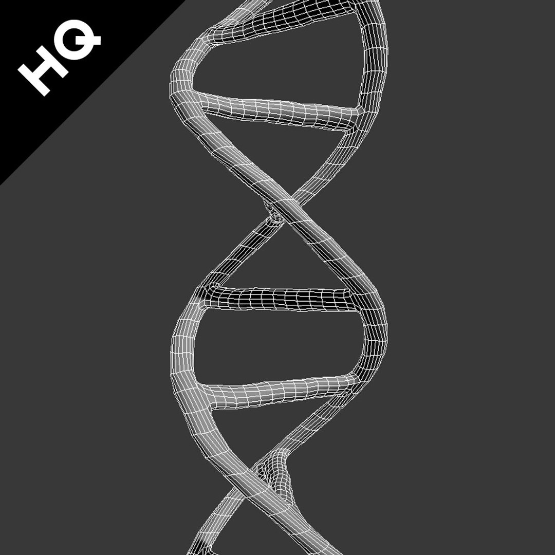 Dna 3d Max