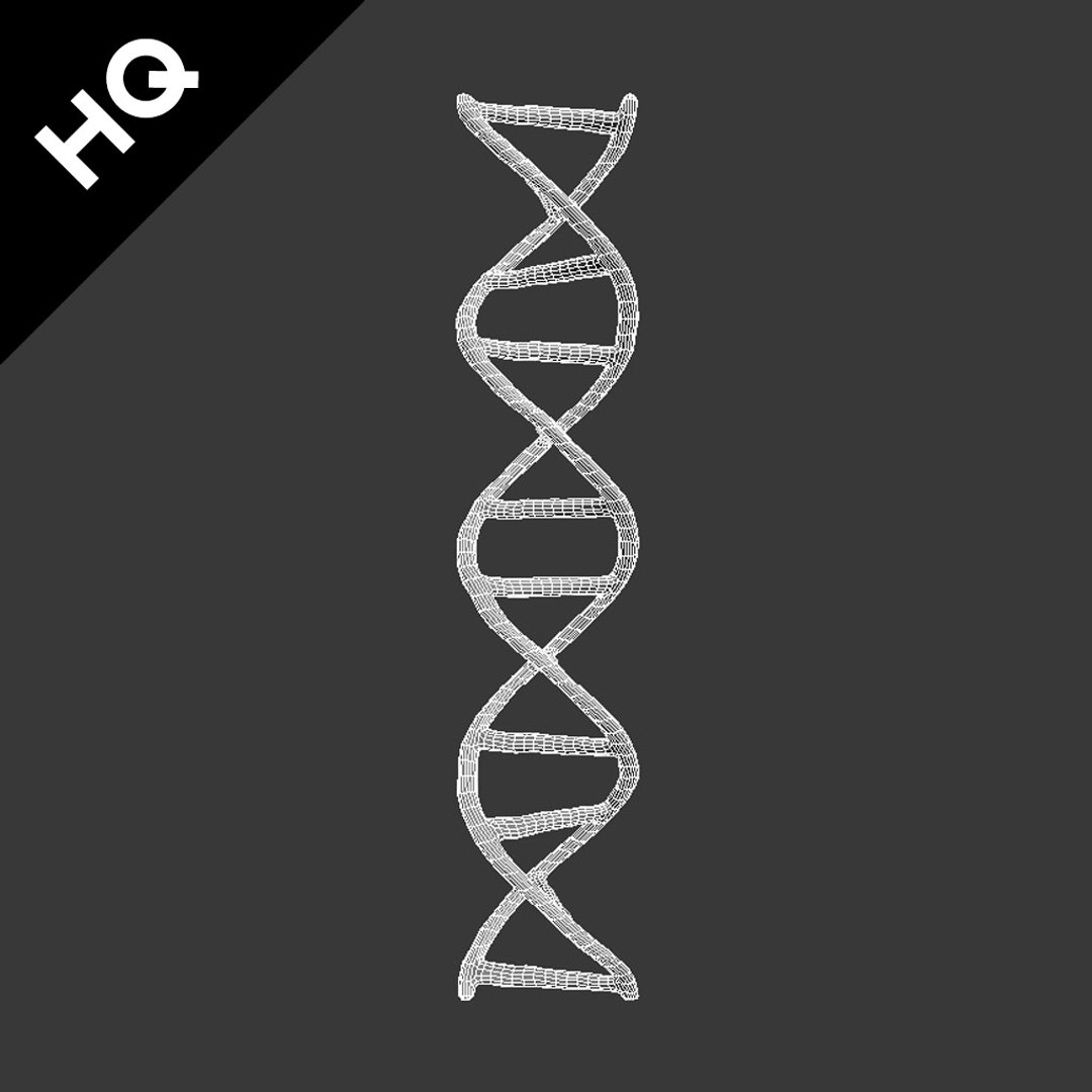 Dna 3d Max